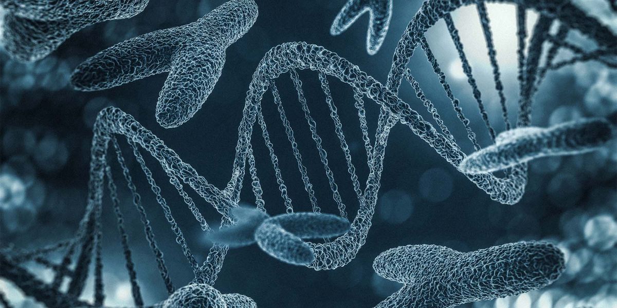 Electron Microscope Dna