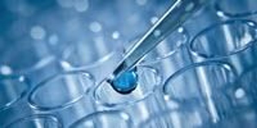 Graphene and Related Materials Safety: Human Health and the Environment ...