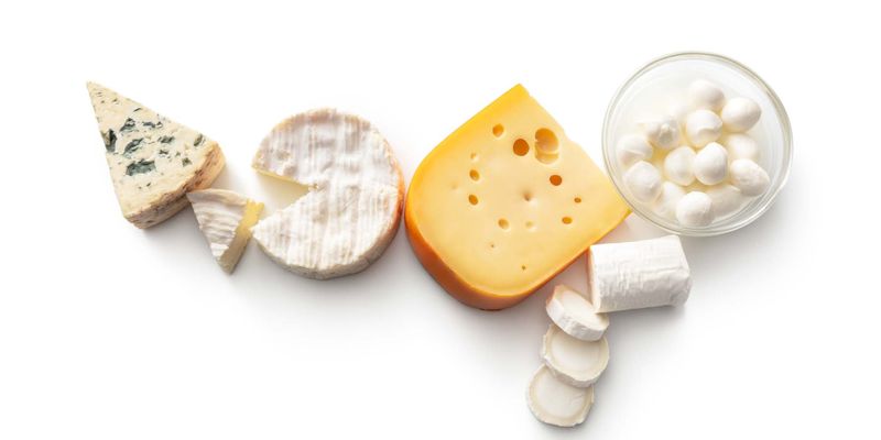 Bacterial Battle: How Protective Cultures Can Protect Us from Food ...