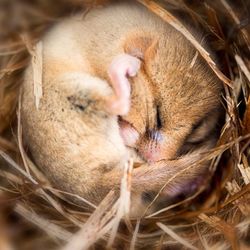 How Automating Nitrogen Determination Works | Lab Manager