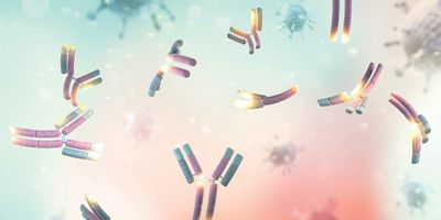 How to Make Your Antibodies Work for Your Lab | Lab Manager