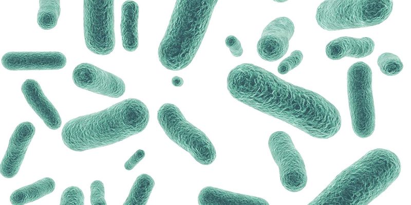 Bacteria Upcycle Carbon Waste into Valuable Chemicals | Lab Manager