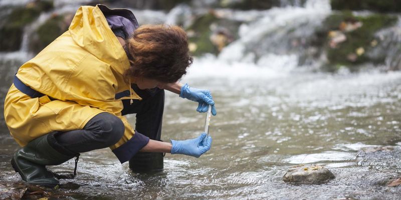 Environmental DNA Analysis to Manage Fecal Contamination | Lab Manager