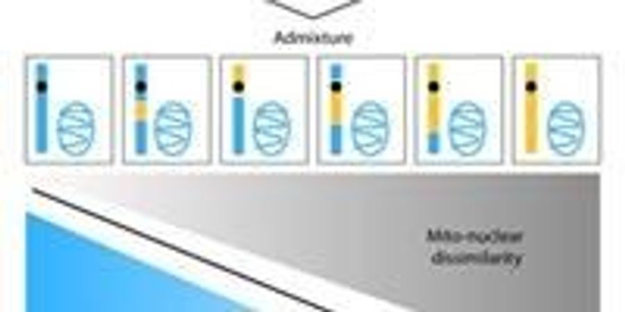 Differences in Genes’ Geographic Origin Influence Mitochondrial ...