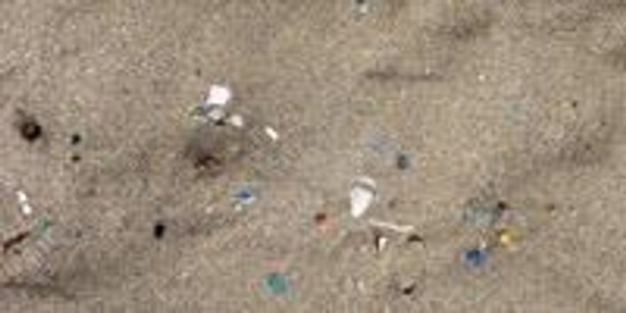 How Dangerous is Microplastic? | Lab Manager