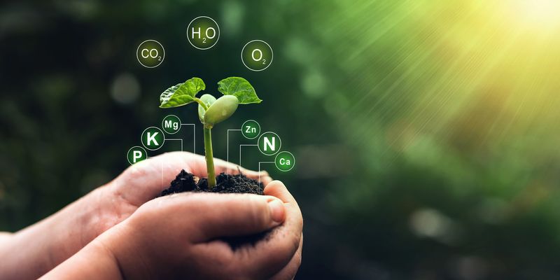 New Protein Discovery Reveals the Mechanisms of Nitrogen Assimilation ...