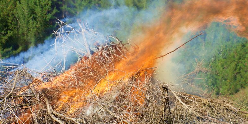 Canada Needs Indigenous-Led Fire Stewardship | Lab Manager