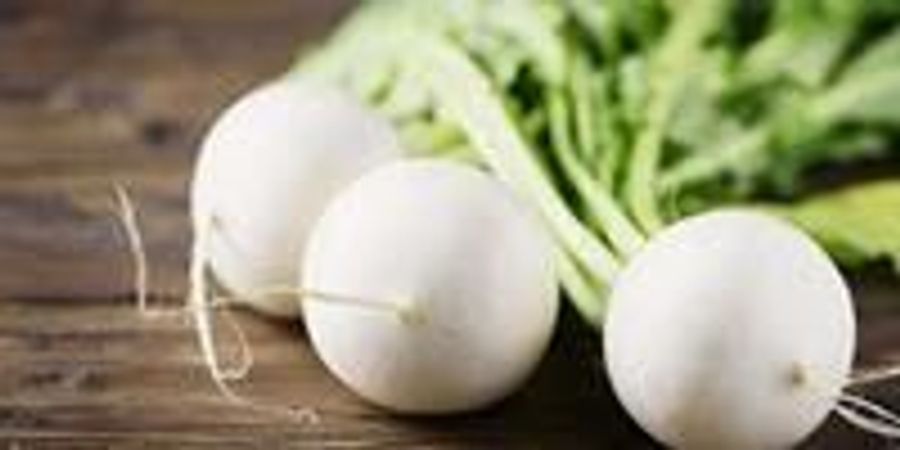 How Trees and Turnips Grow Fatter | Lab Manager