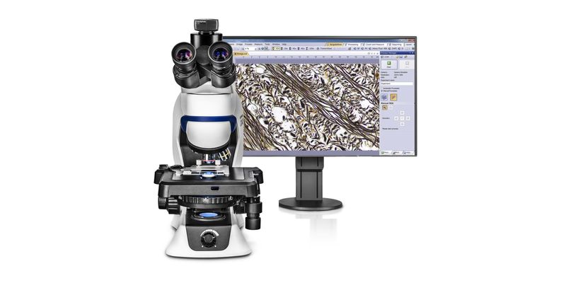 Digital Microscope Camera Delivers Good Value for Standard Brightfield ...