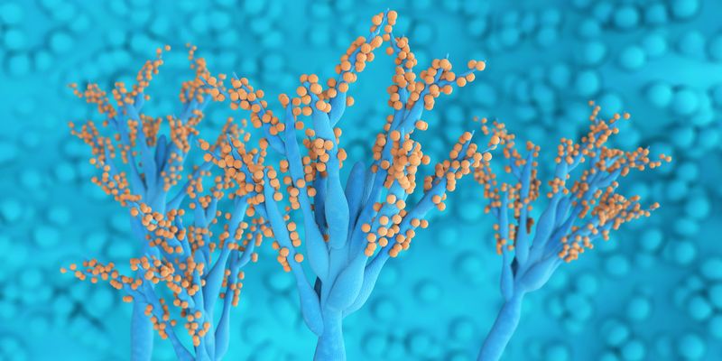 Biosynthesis of Cyanobacterin Opens Up New Class of Natural Compounds ...