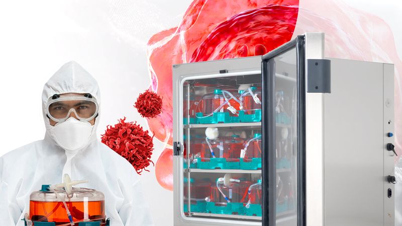 Creating Optimum Conditions for Cell and Gene Therapy Applications ...