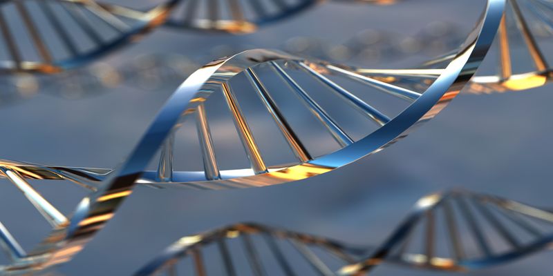 Speeding Up Evolution at Genome-Level by Alternative Chromosome ...