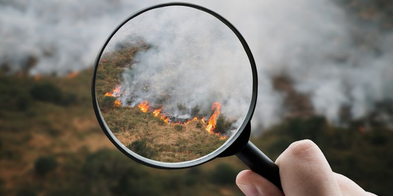 Wildfire Experts Provide Guidance for New Research Directions | Lab Manager