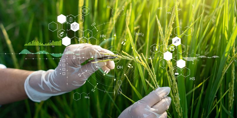 Researchers Propose New Framework for Regulating Engineered Crops | Lab ...