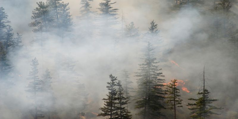 Understanding the Effect of Wildfires on Air Quality | Lab Manager