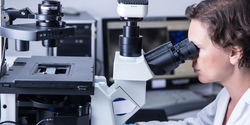 Intelligent Microscopes for Detecting Rare Biological Events | Lab Manager