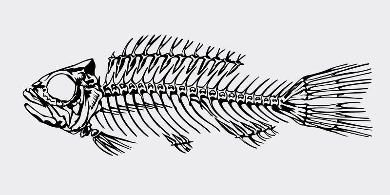Earliest Land Animals Had Fewer Skull Bones than Fish | Lab Manager