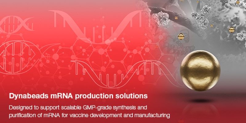 Customized Dynabeads Solutions for Scalable mRNA Production | Lab Manager