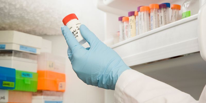 How to Store Your Lab Samples Well | Lab Manager