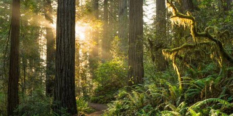 What Drives Ecosystems to Instability? | Lab Manager