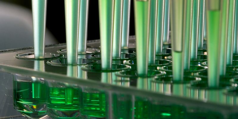 Using High-Throughput Screening to Rapidly Identify Targets | Lab Manager