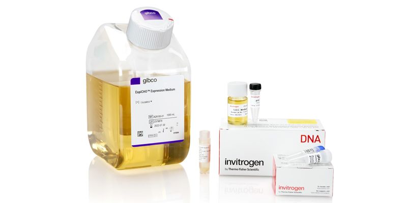 Development of New, Better Cell Line Development Kit | Lab Manager