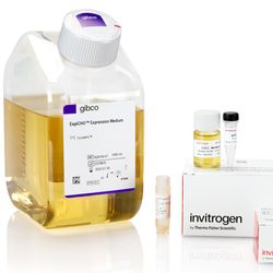 Improving Efficiency in Cell Line Development | Lab Manager