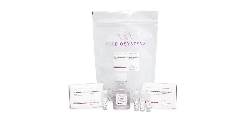 Next-Generation of qPCR Reagents Push the Boundaries of Performance ...