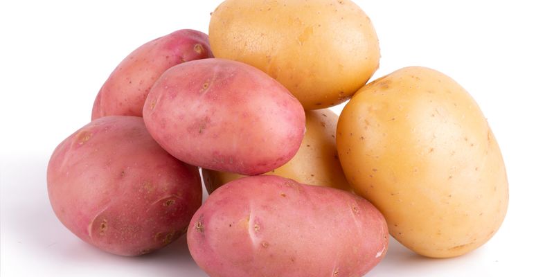 Potatoes Can Be Part of a Healthy Diet | Lab Manager