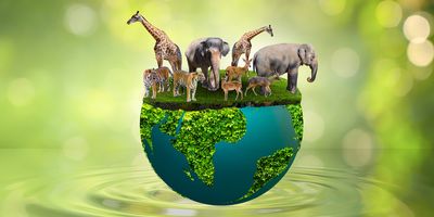 New Project to Serve Biodiversity Science to Decision-Makers | Lab Manager