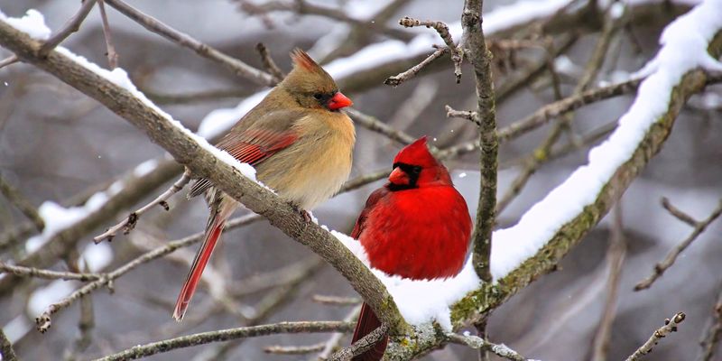 Fossil Overturns a Century of Knowledge about the Origin of Modern ...