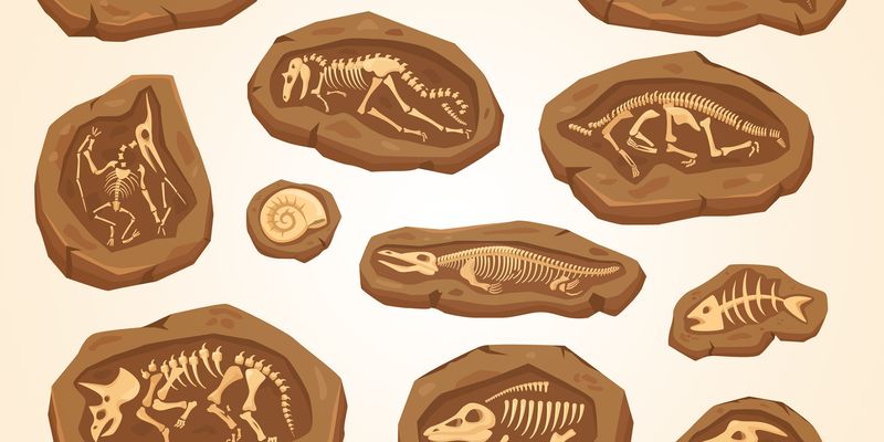 Linking Fossil Climate Proxies to Living Bacteria Helps Climate ...