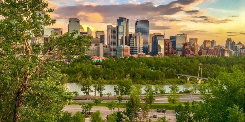 Scattered Patches of Green around Urban Parks Can Impact Biodiversity ...