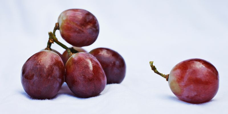 Consumers Care More about Taste than Gene Editing for Table Grapes ...