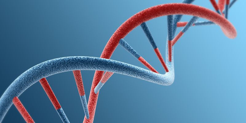 A Unique Approach for Studying Changes in Chemical Markers on DNA | Lab ...