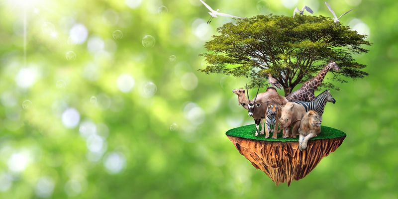 Completing the Long-Standing Puzzle of Biodiversity with the Aid of ...