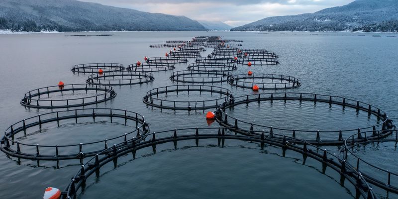 The Overshadowed Environmental Benefits of Aquaculture | Lab Manager