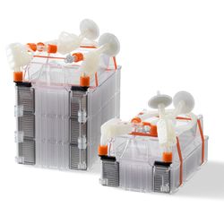 A New Generation of Malaria Vaccines | Lab Manager