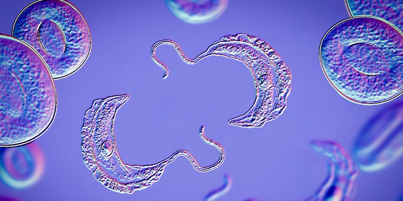 Pathogen Mapped for the First Time | Lab Manager