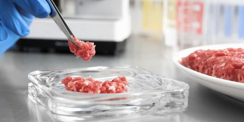 Lab-Grown Fat Could Give Cultured Meat Real Flavor and Texture | Lab ...