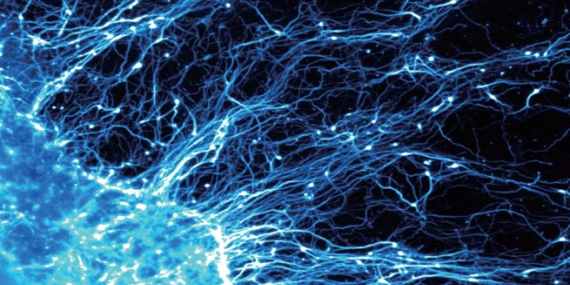 New, Reconstituted Matrix Hydrogel Formed by Basement Membrane ...