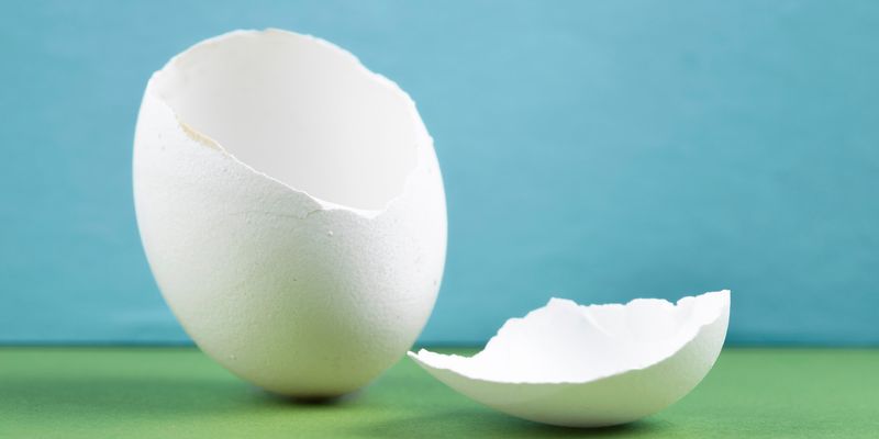 Pushing Frontiers through Upcycling: Eggshell Waste for Bone Graft ...