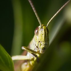 Science and Cookies: Researchers Tap Into Citizen Science To Shed Light ...