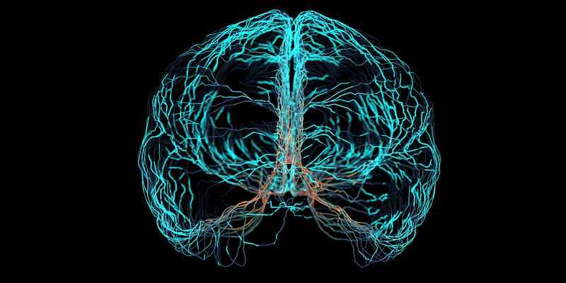 Importance of Neuroscientific Evidence for Sexual Assault Trials | Lab ...