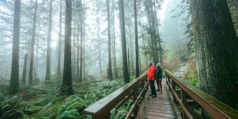 Strengthening Protection of Parks Is Crucial for Biodiversity ...