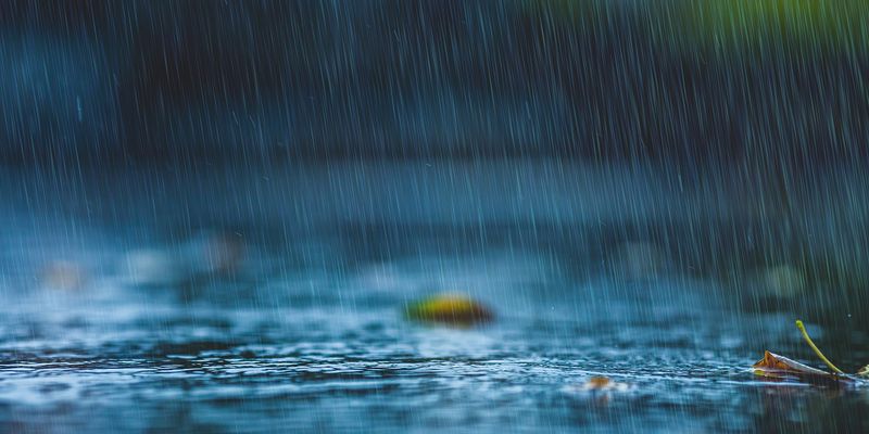 Scientists Should Spend More Time in the Rain | Lab Manager