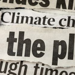 Concrete Jungle Functions as Carbon Sink, Researchers Find | Lab Manager