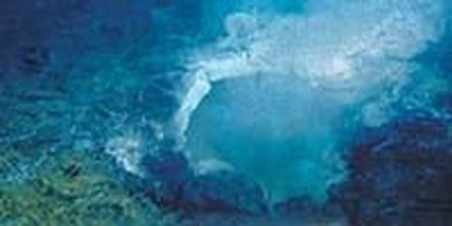 Ocean Observatories Initiatives’ Cabled Array Brings the Ocean to Your ...