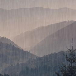 Laboratory Environmental Monitoring | Lab Manager