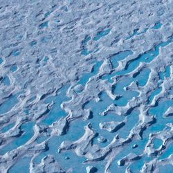 Environmental DNA Uncovers Biodiversity in Rivers | Lab Manager